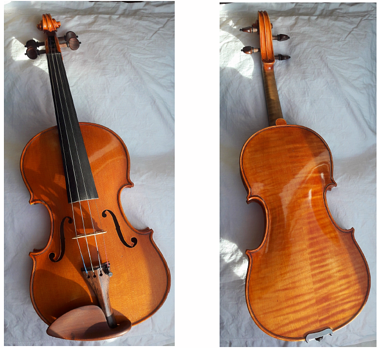 Violon professionnel à vendre sur Gens de Confiance